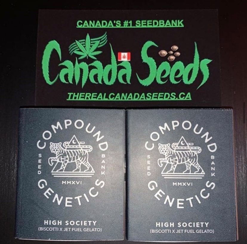 Compound Genetics – High Society - Canada Seedz