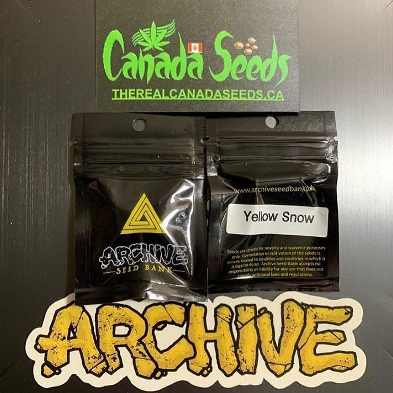 Home [www.canadaseedz.ca]